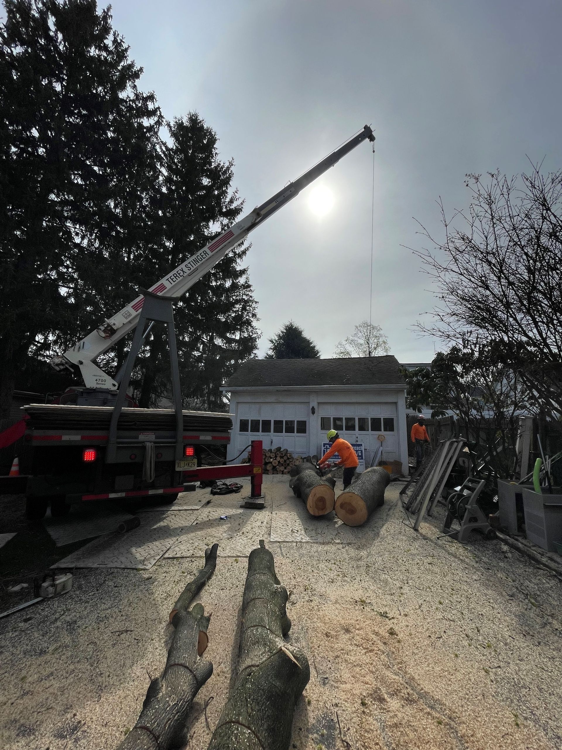 Tree Services | Elizabeth, NJ | Supreme Tree Solutions