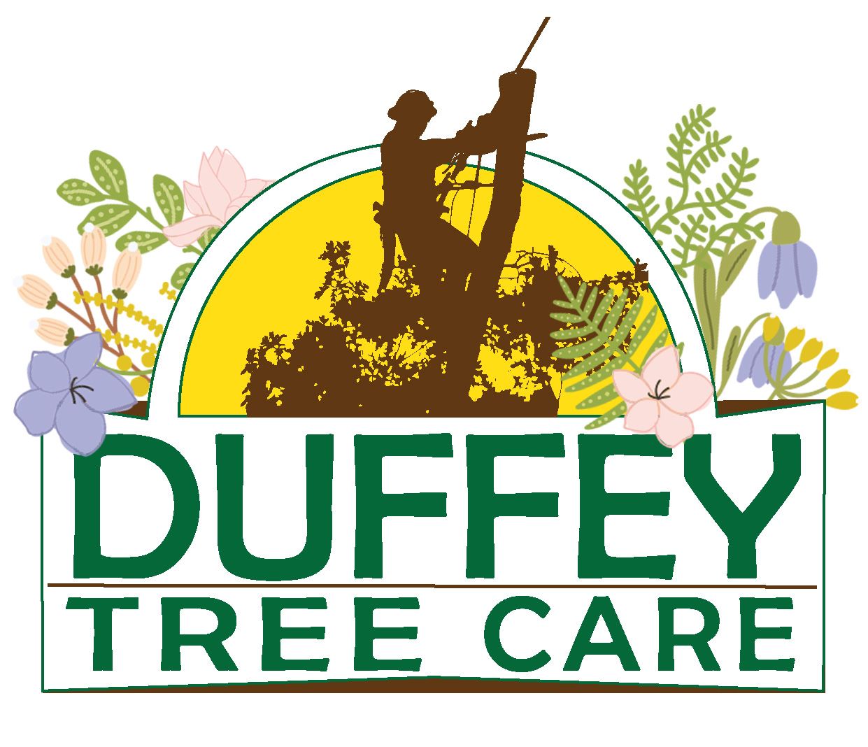 Professional Tree Service | Brandon, FL | Duffey Tree Care