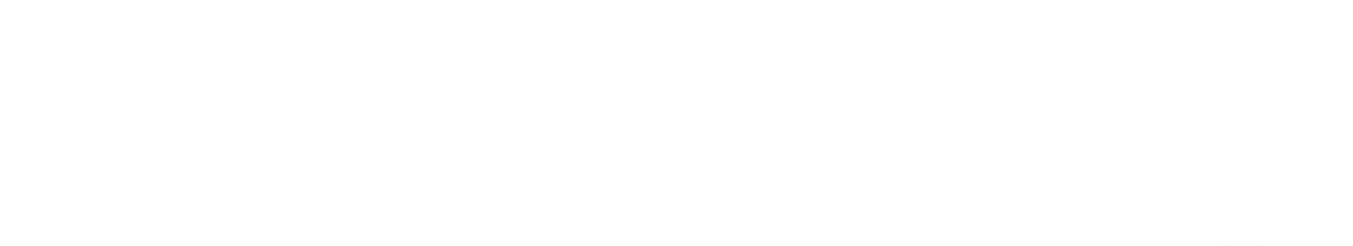 Barbara Carneiro // Strategist • Speaker • Mentor