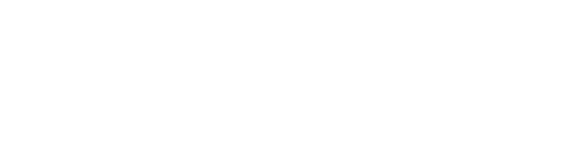 Barbara Carneiro // Strategist • Speaker • Mentor