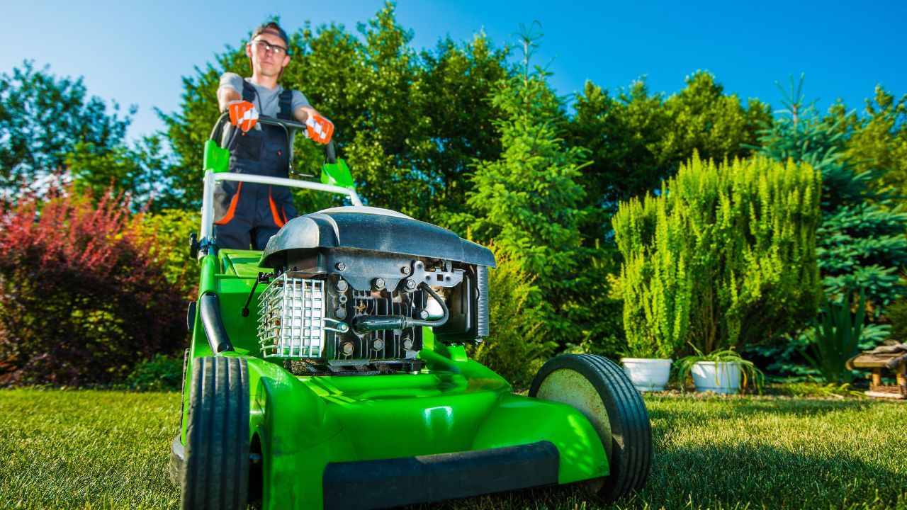 South Carolina Arborist & Landscaping Insurance (Cost & Coverage)