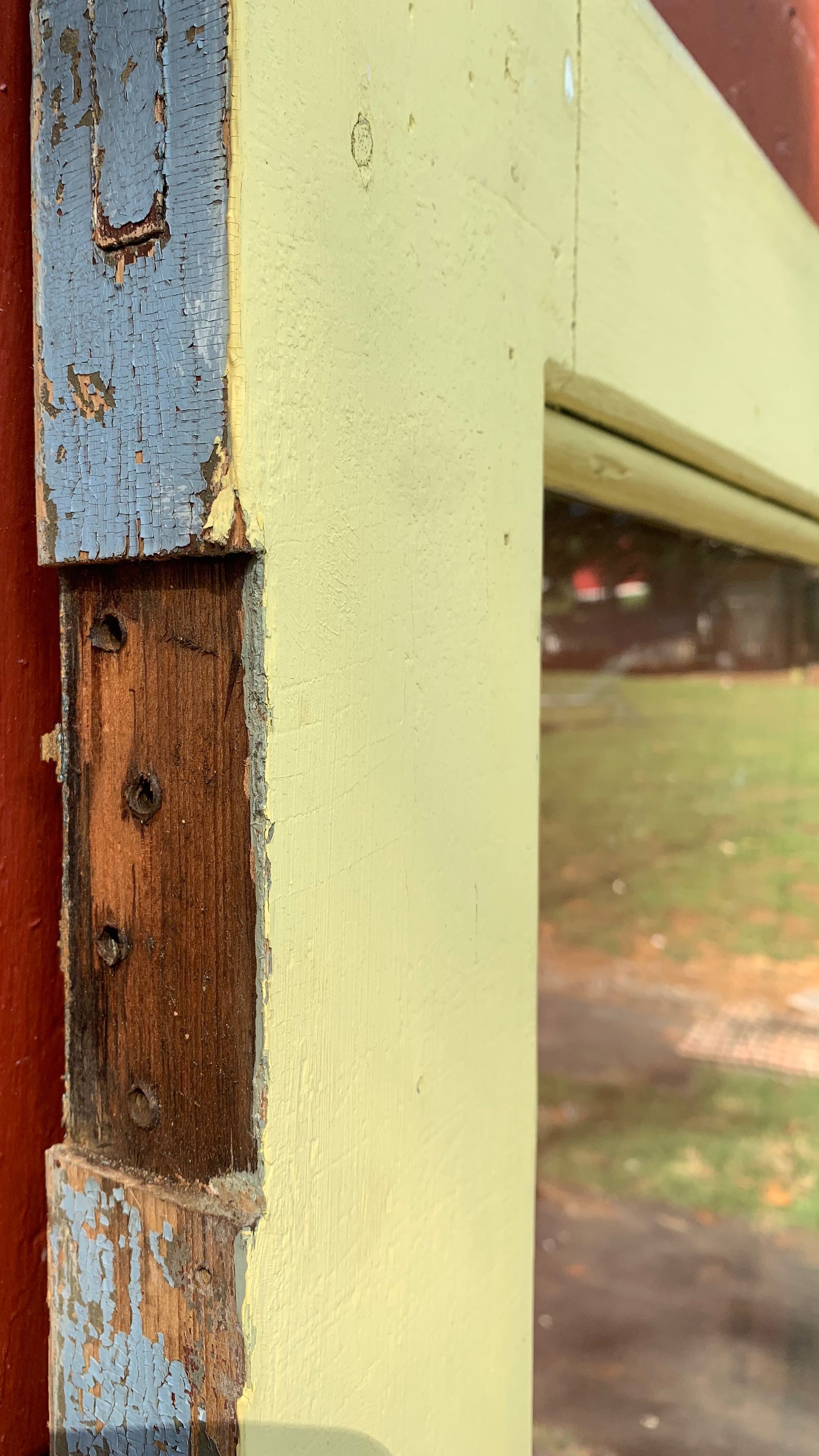 Exterior Doors-Half Lite