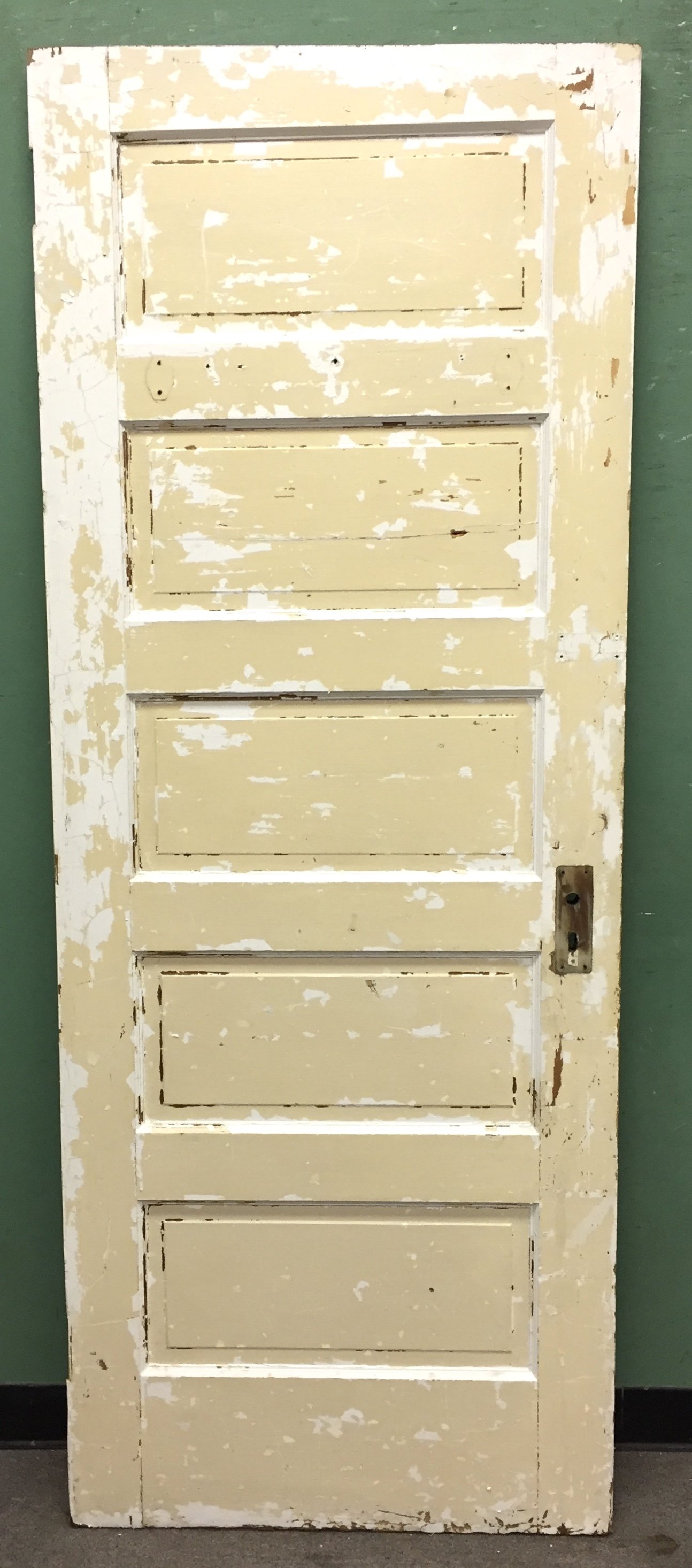 Doors-5 Panel-Horizontal