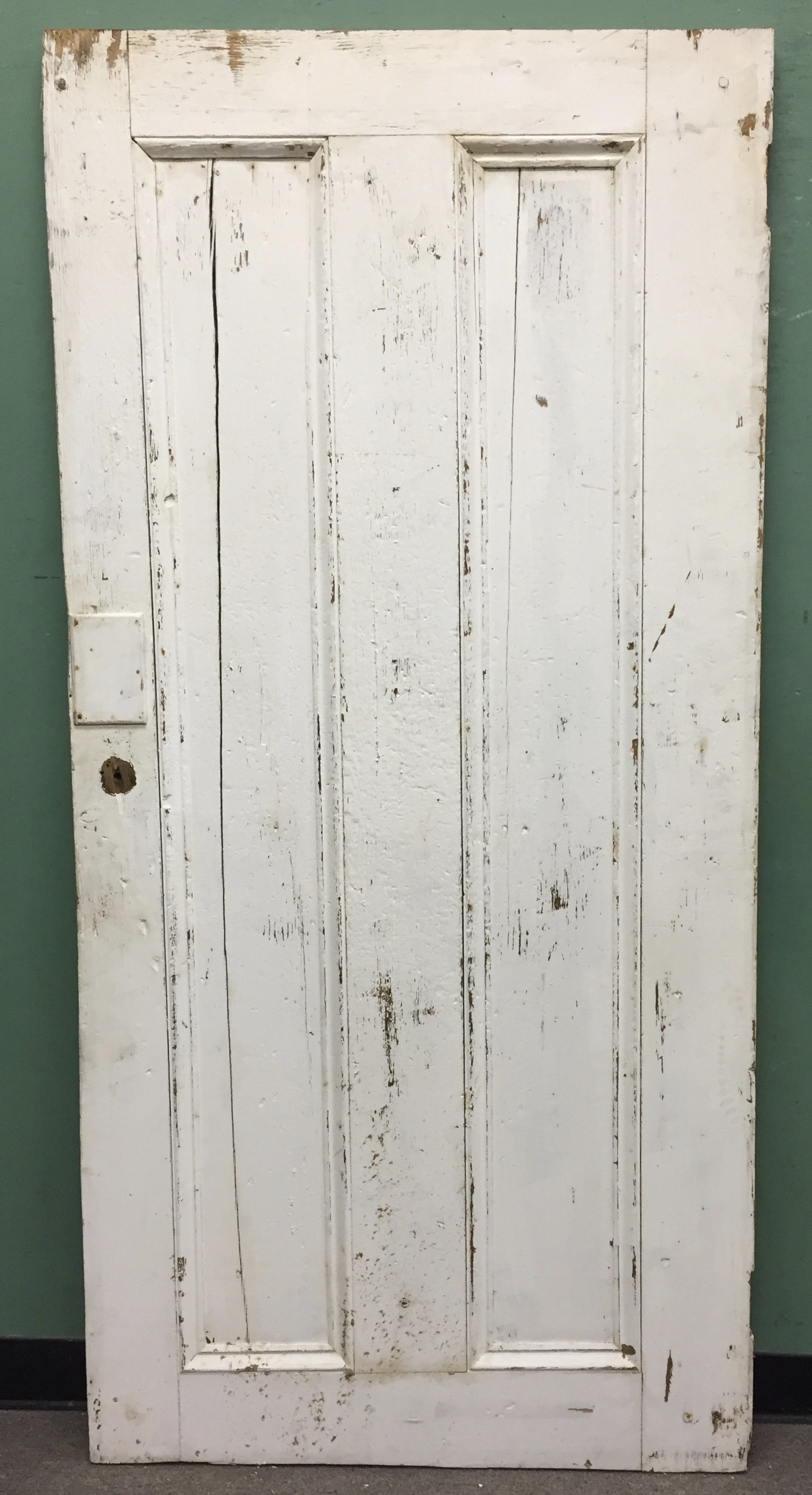 Doors-2 panel-Vertical