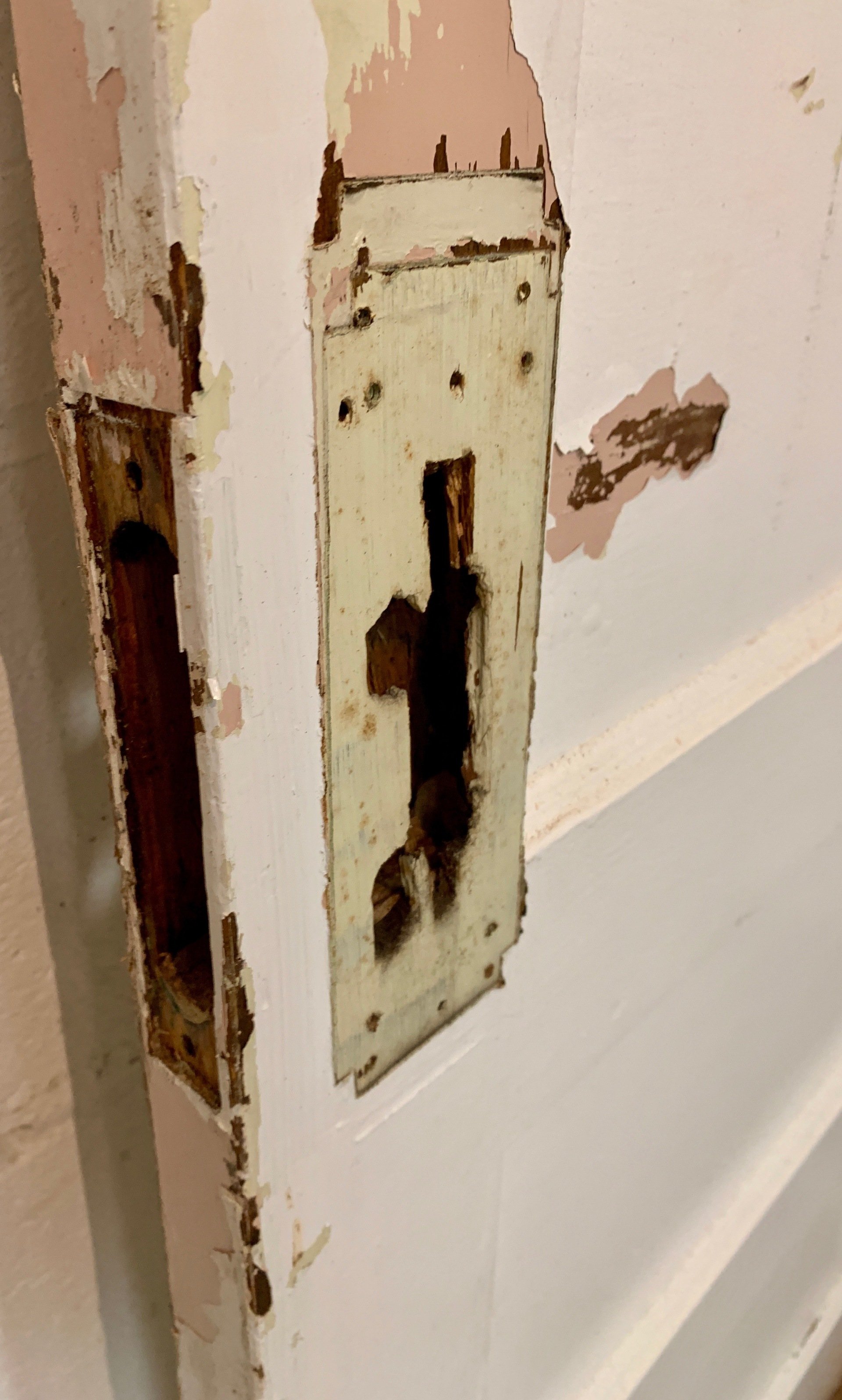 Exterior Doors-Half Lite