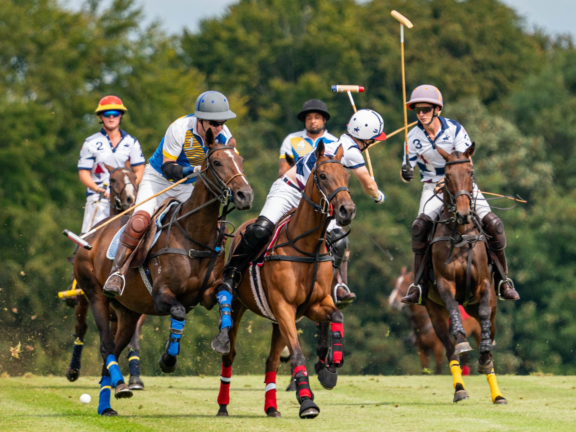 UK Polo, Polo Player, Polo Ponies, Chukkas, Hurlingham Polo Rule Test