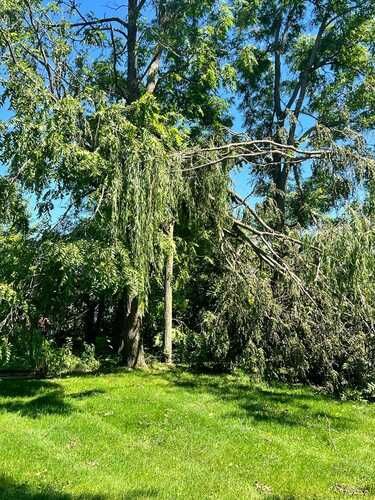 Gallery - Recent Projects | Andrew Tree Service