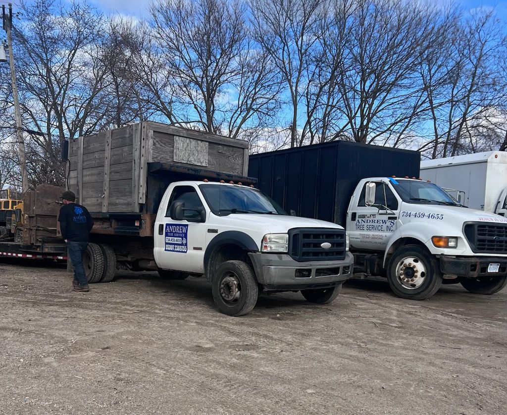 Gallery - Recent Projects | Andrew Tree Service
