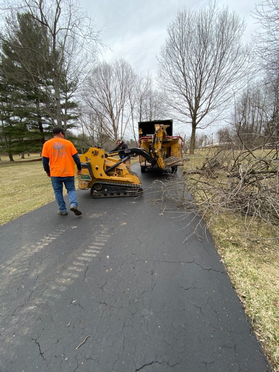 Gallery - Recent Projects | Andrew Tree Service