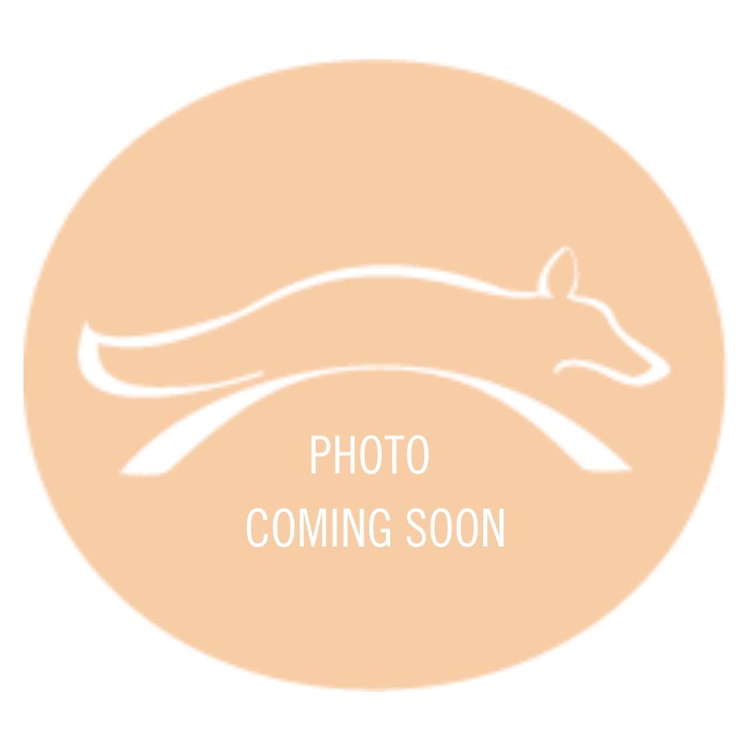 The Team | Fox Property Management