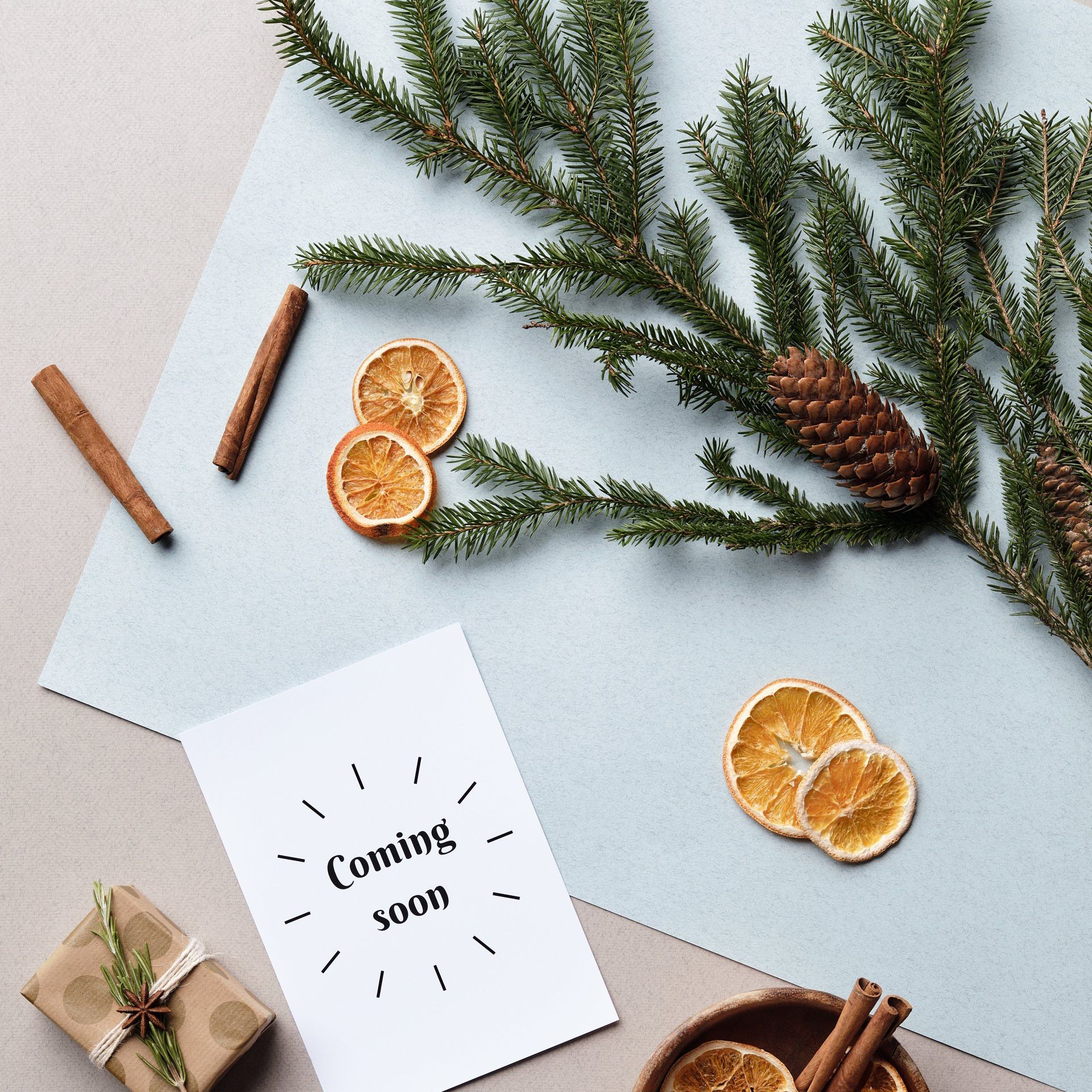 Meet the Team at Fox Property Management