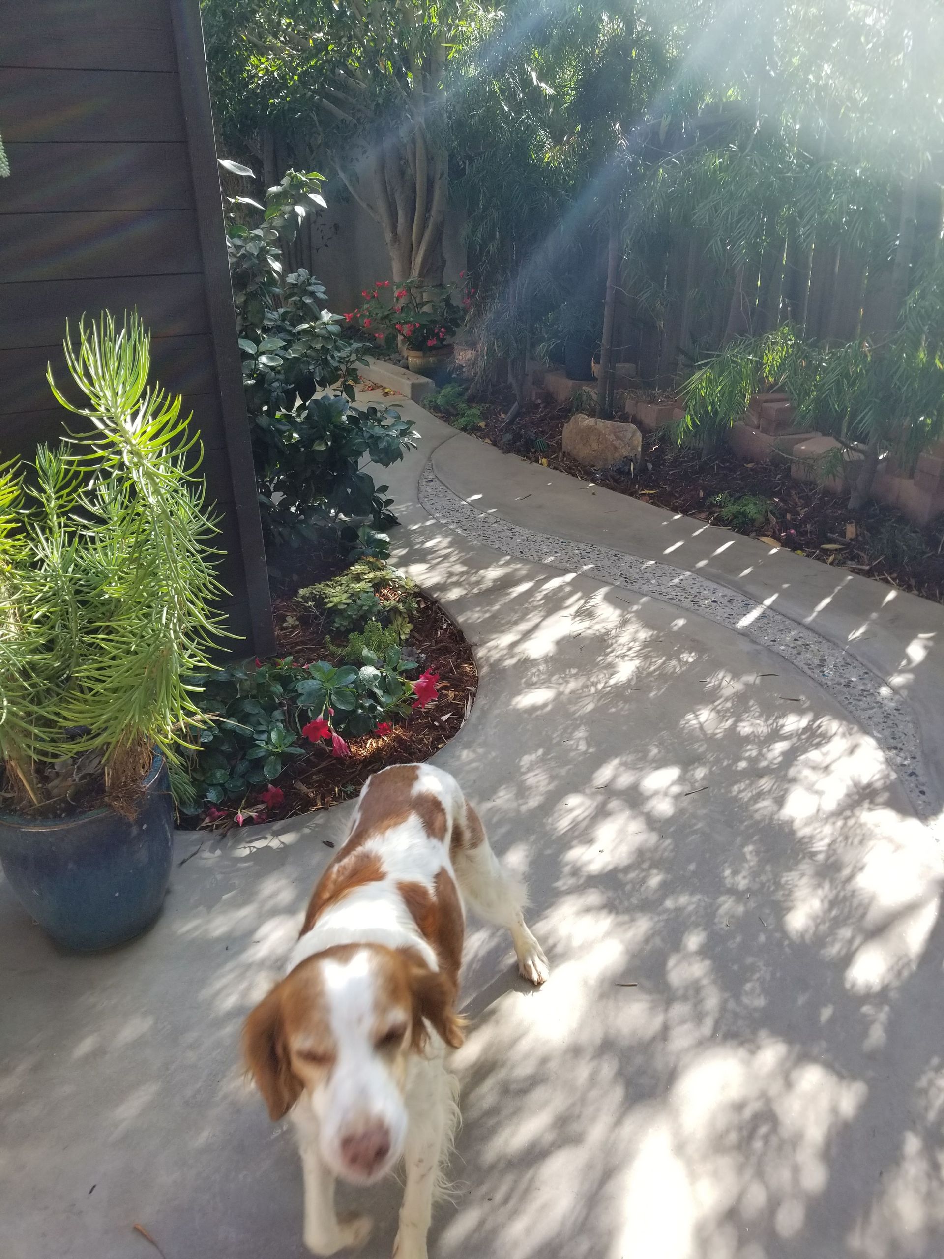 Book Club Hideaway | John Beaudry Landscape Design