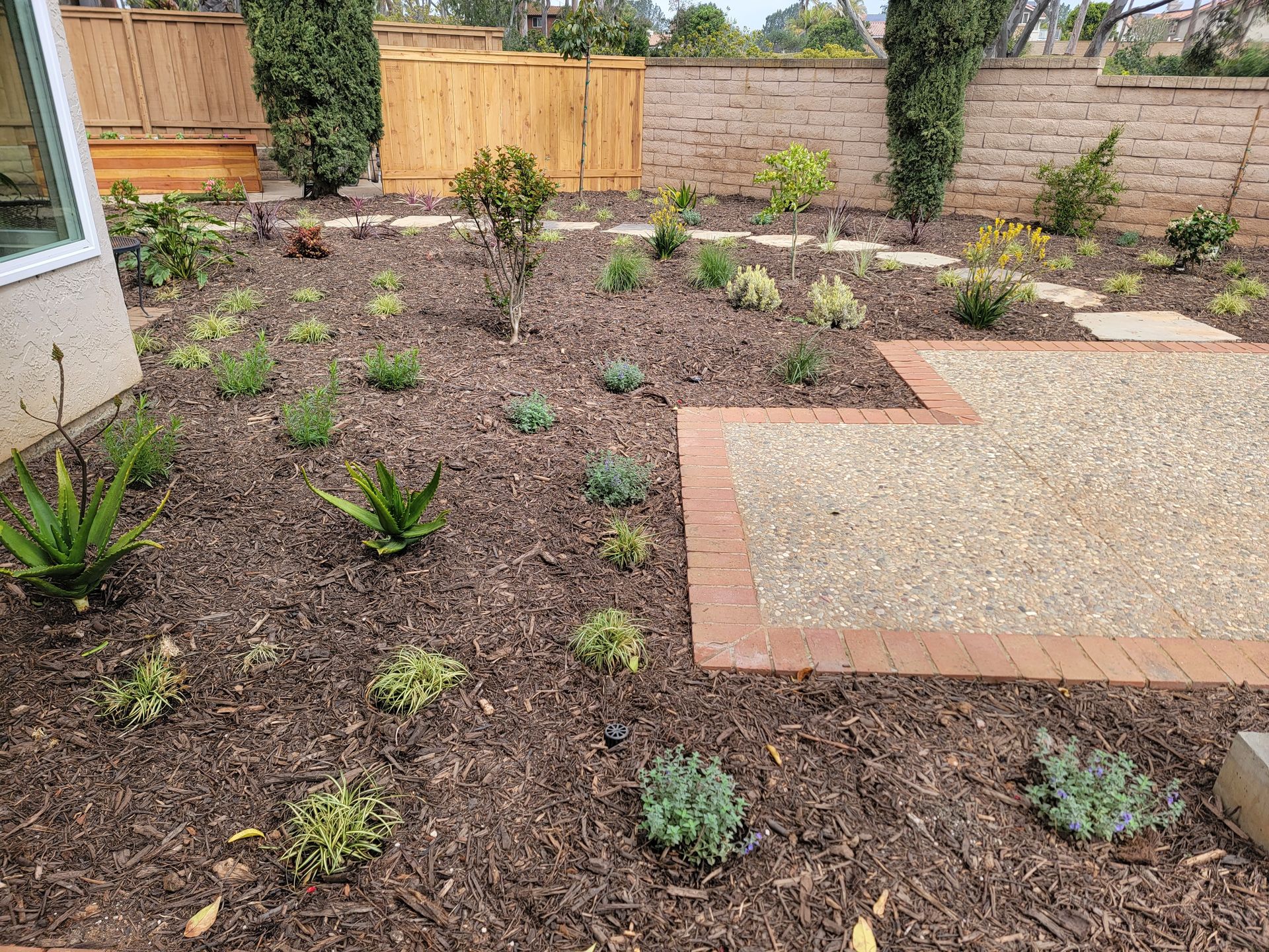 Landscape for the Future | La Mesa, CA | John Beaudry Landscape Design