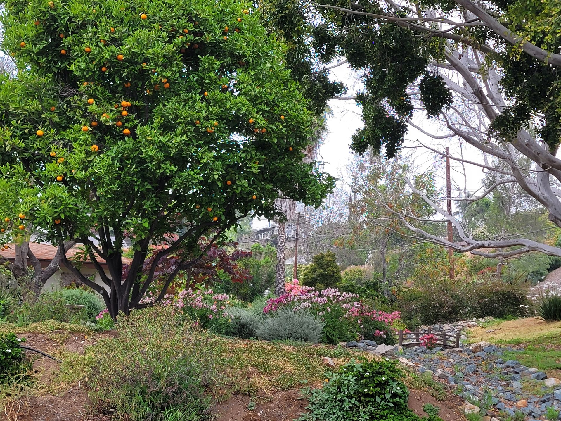 Rustic Homestead | John Beaudry Landscape Design