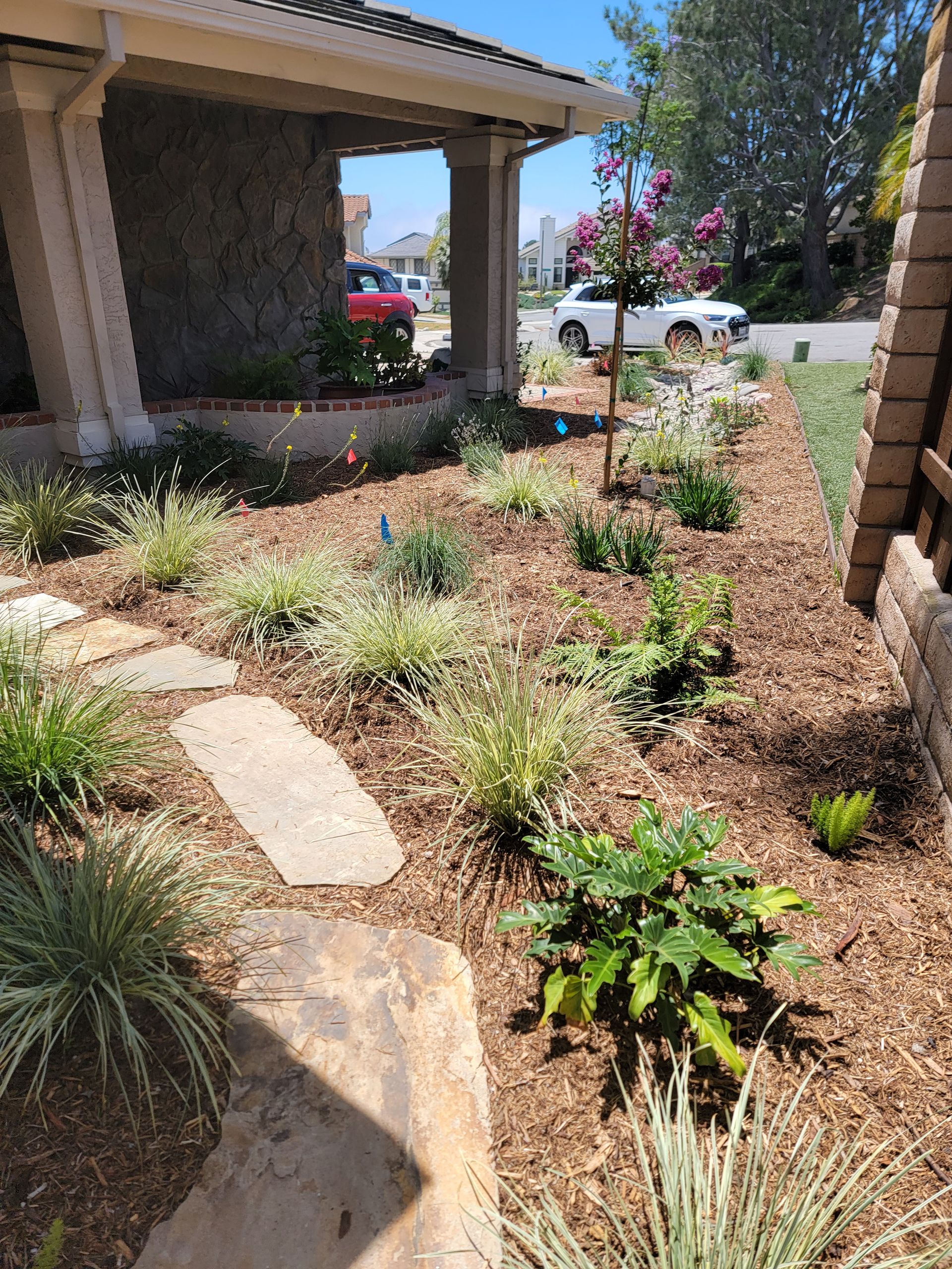 Landscape for the Future | La Mesa, CA | John Beaudry Landscape Design