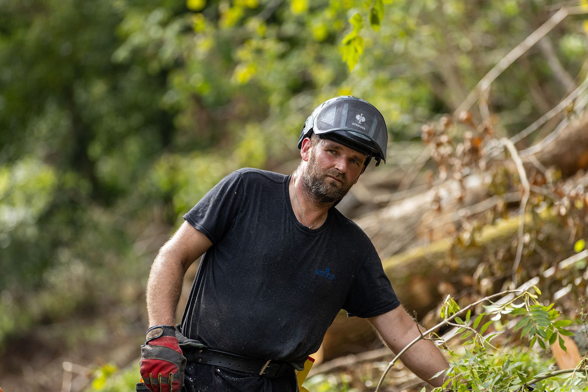 Team | Chris Arnold Tree Surgery | Gloucestershire