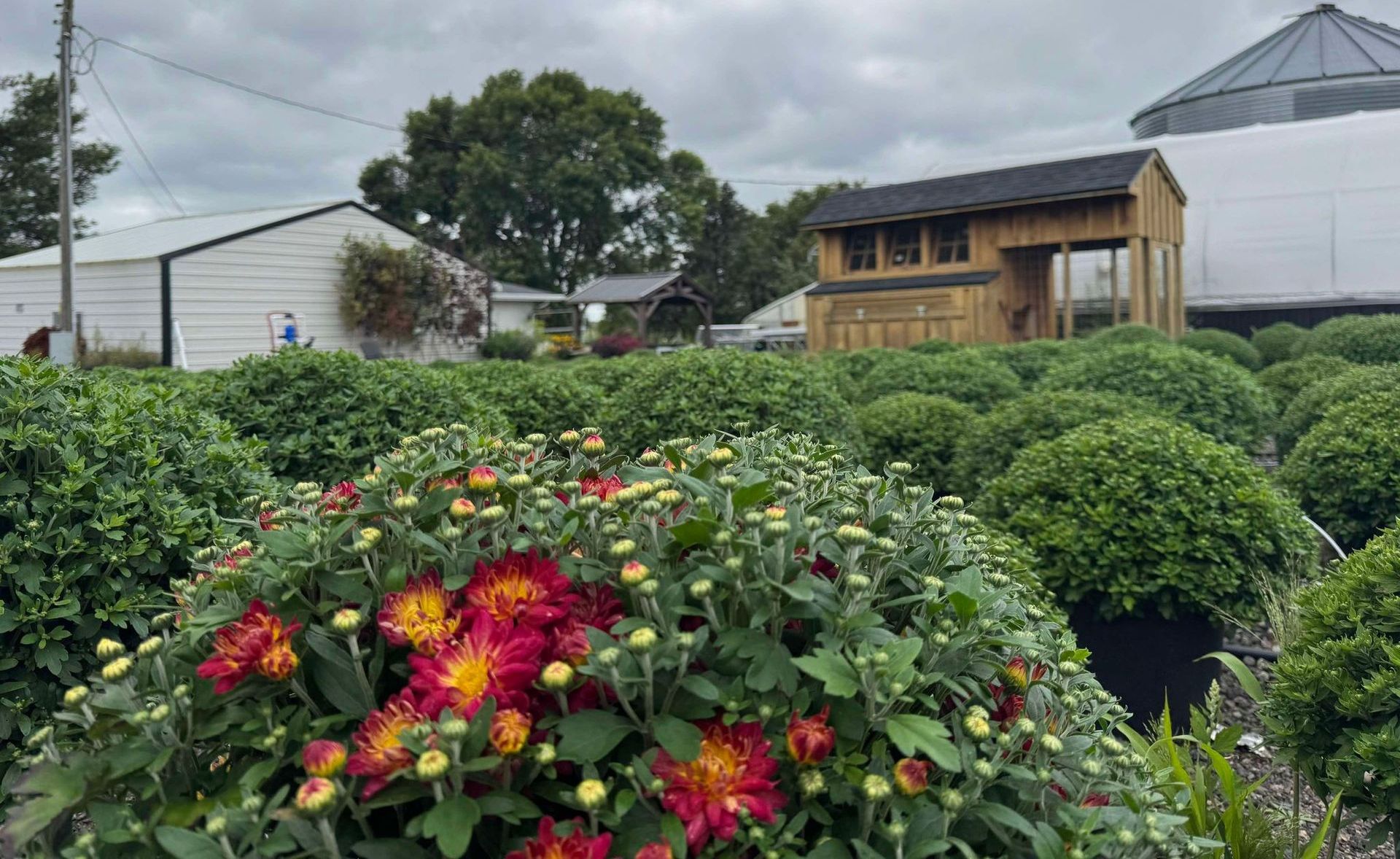Gallery | Nick's Plants and Produce