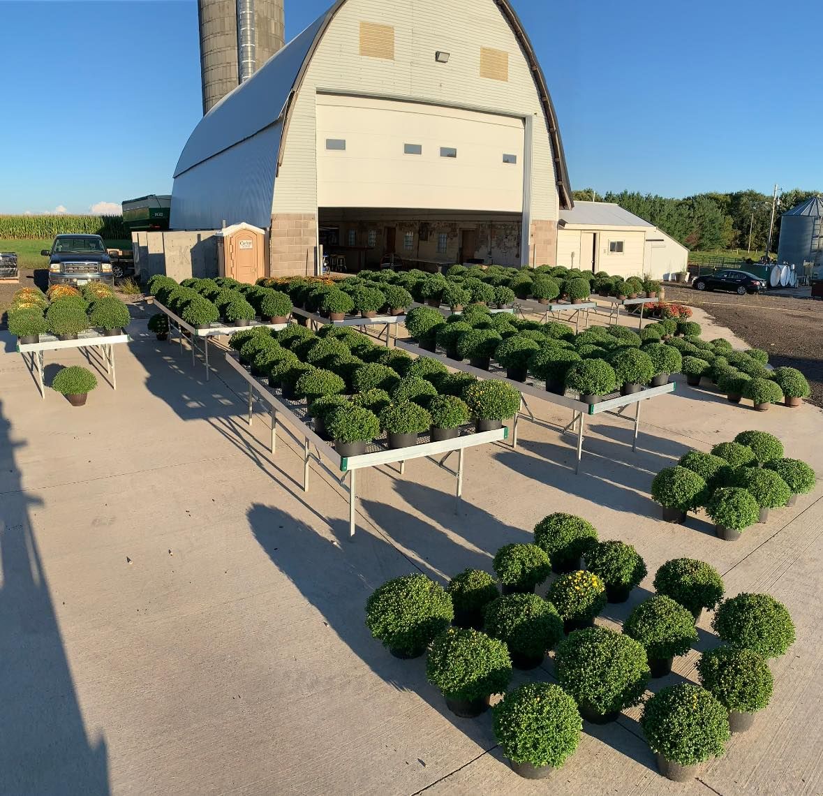 Gallery | Nick's Plants and Produce