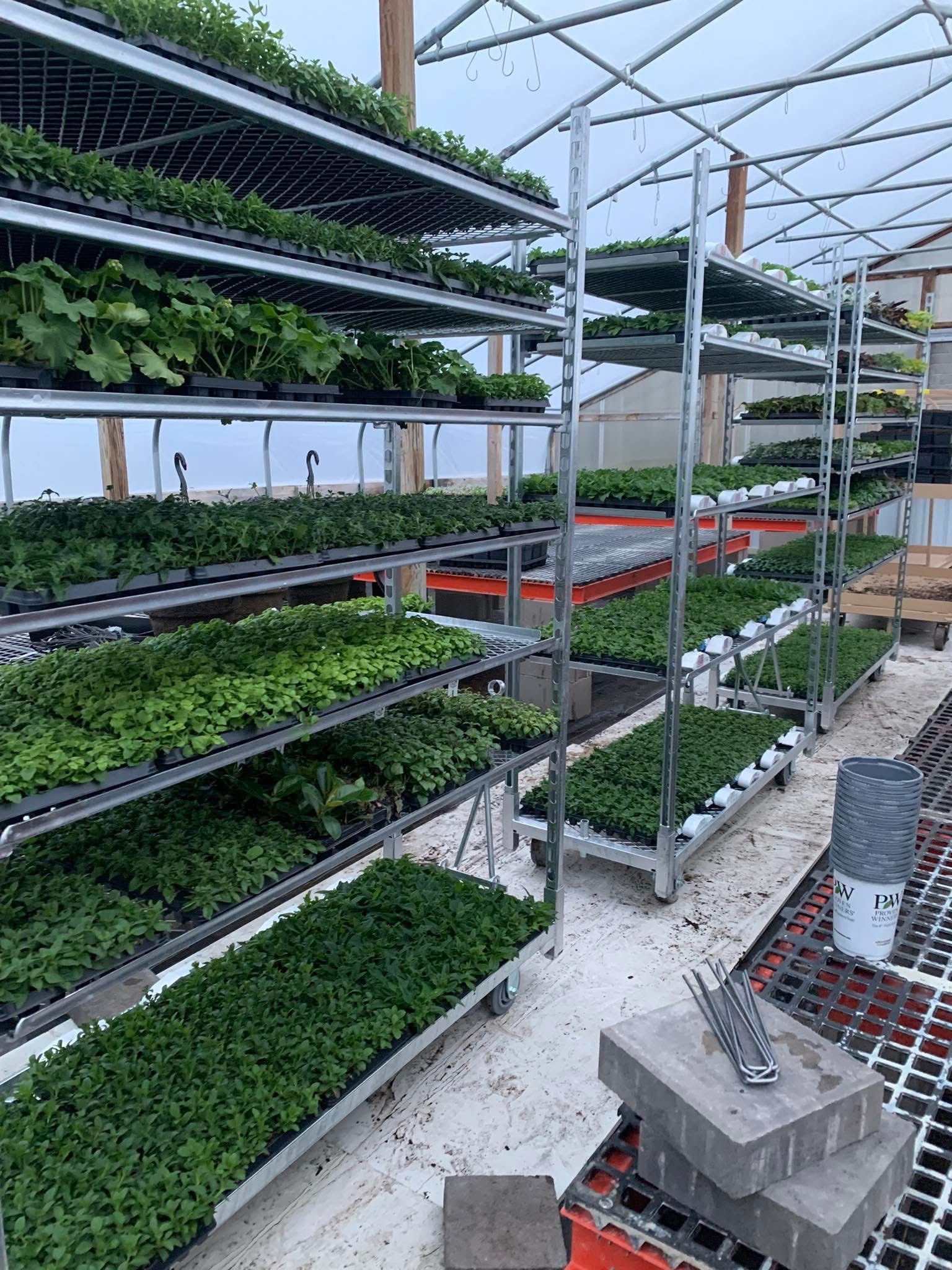 Gallery | Nick's Plants and Produce