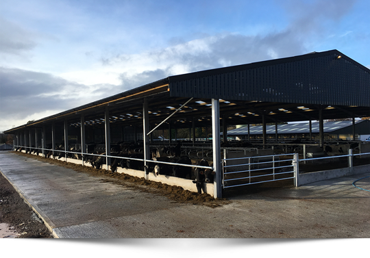 RB Buildings - Steel Farm Agricultural Commercial Buildings - South Devon