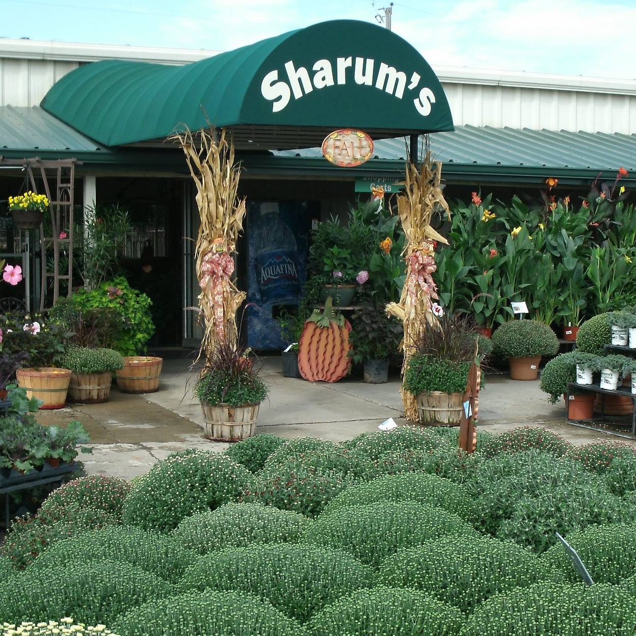 Gallery | Fort Smith, AR | Sharum's Garden Center