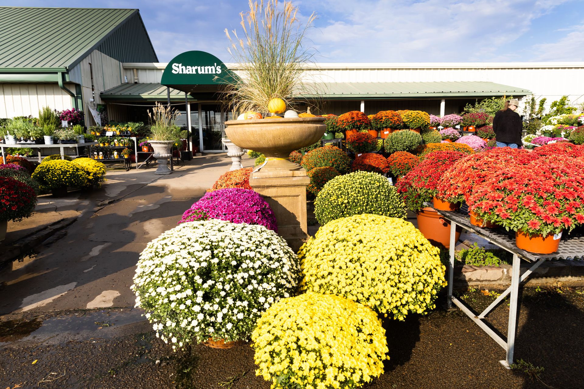 Gallery | Fort Smith, AR | Sharum's Garden Center