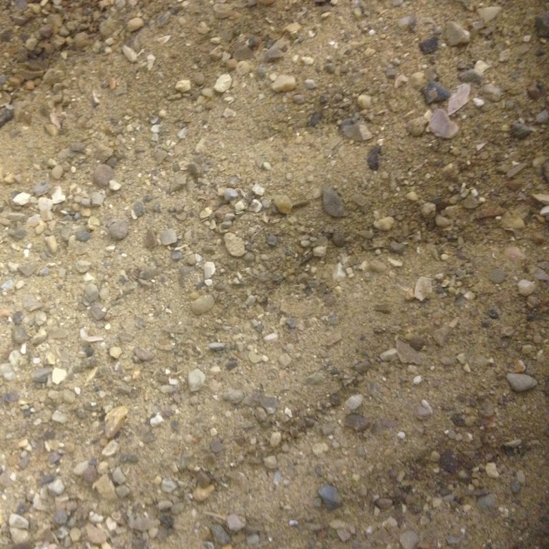 Chalk Down Lime | Product Data