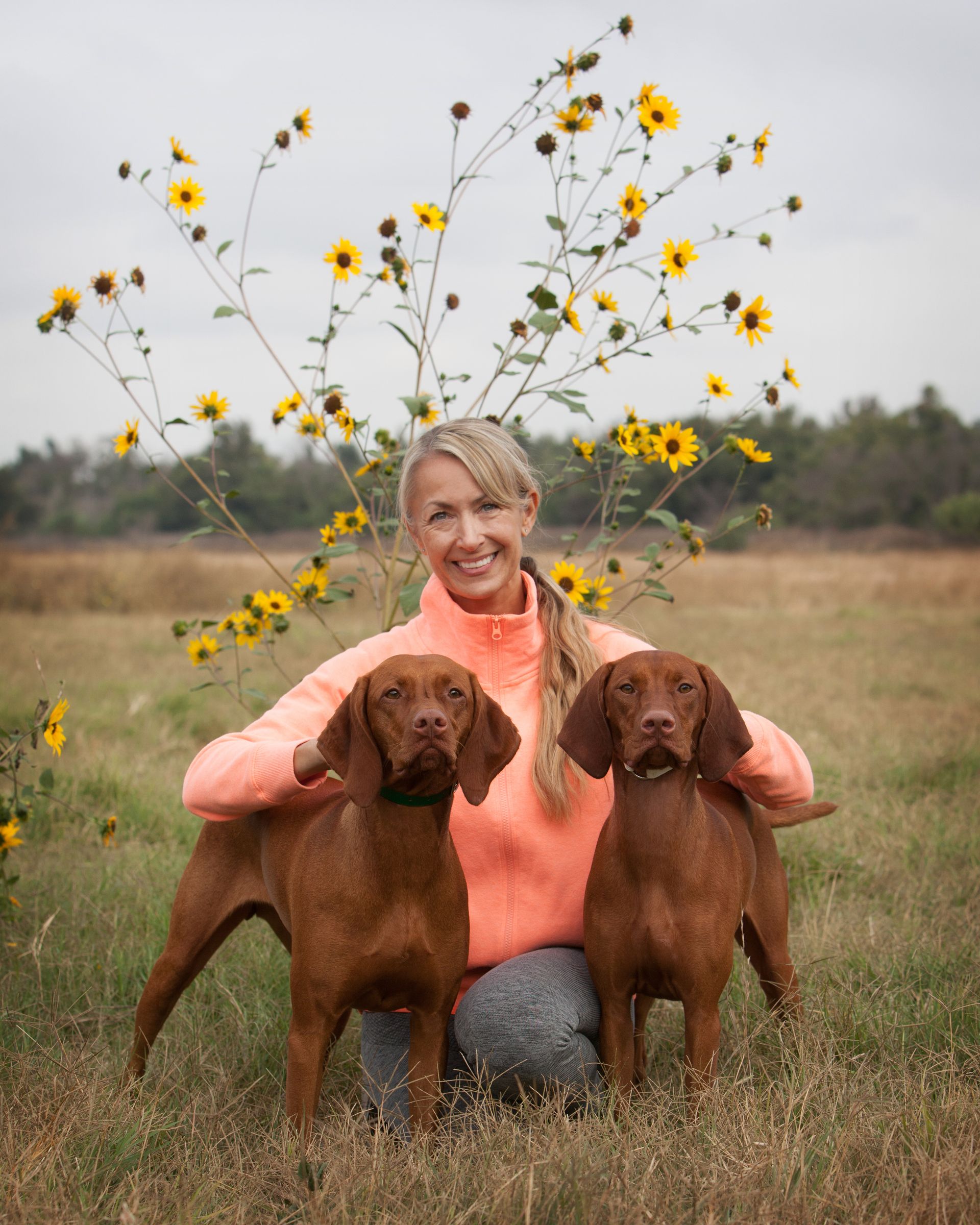 Our Girls | Moonlight Vizslas