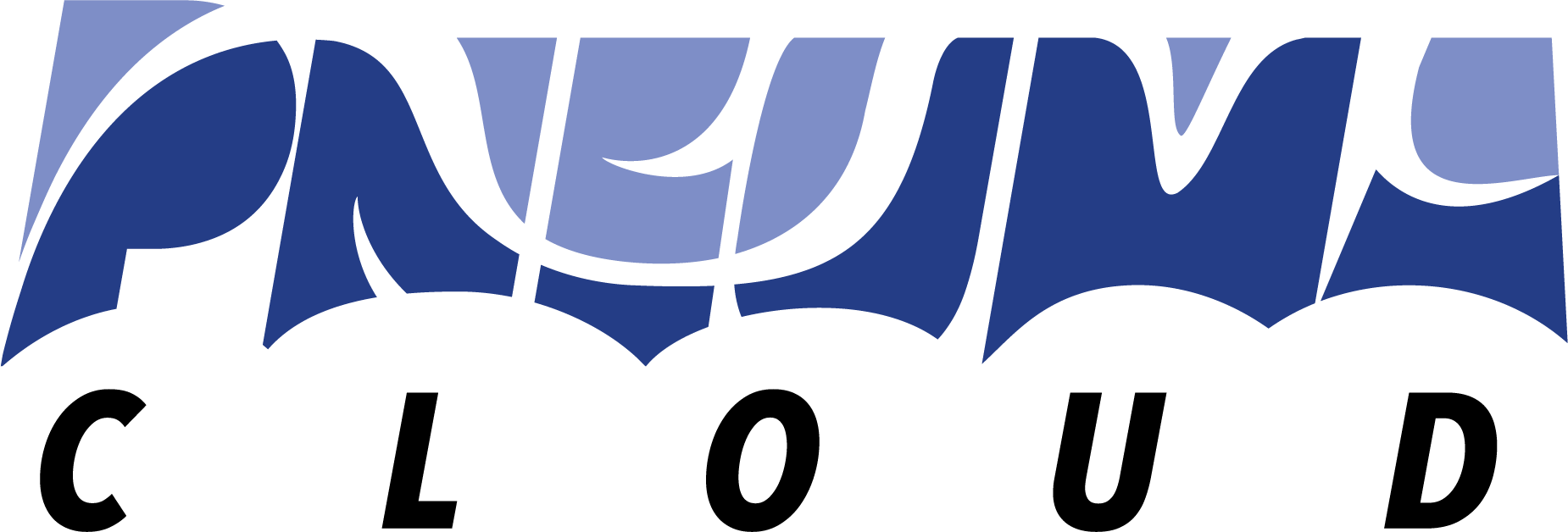 Home | Pneuma Cloud Corporation | Silver Spring, MD