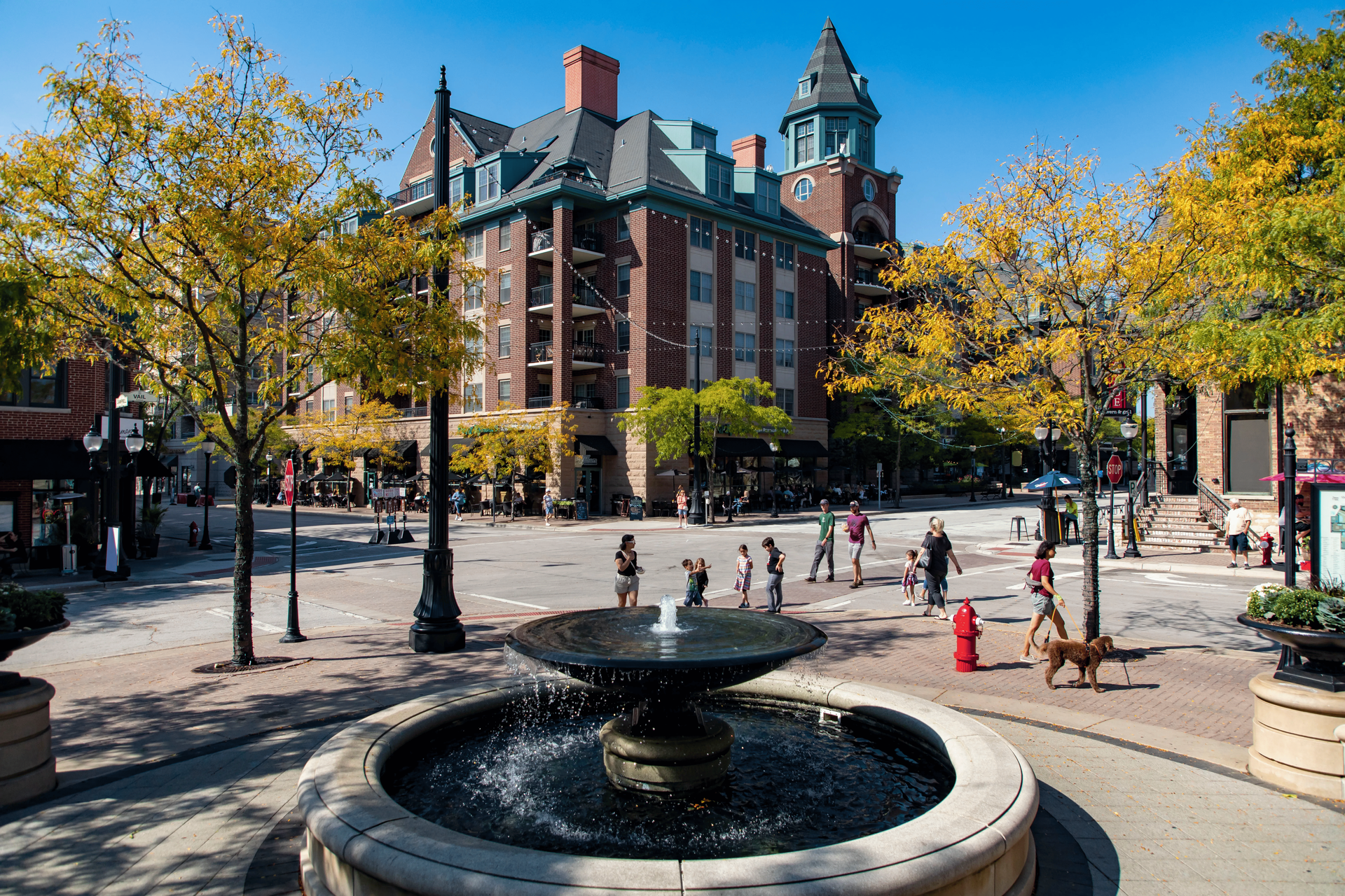 Arlington Heights Movers | Falcon Moving LLC