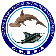 Shark Research | Clearwater, FL | Coastal Marine Education and Research ...