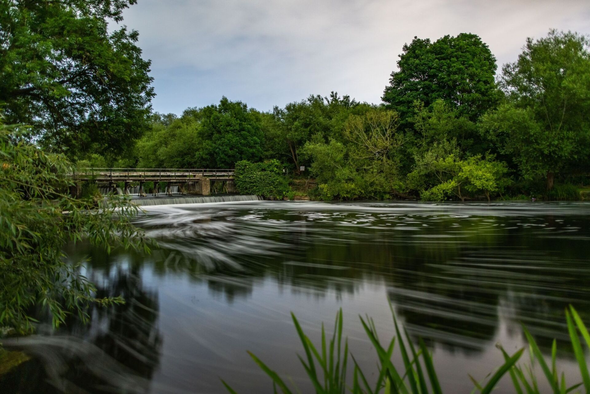 Kings Weir Fishery