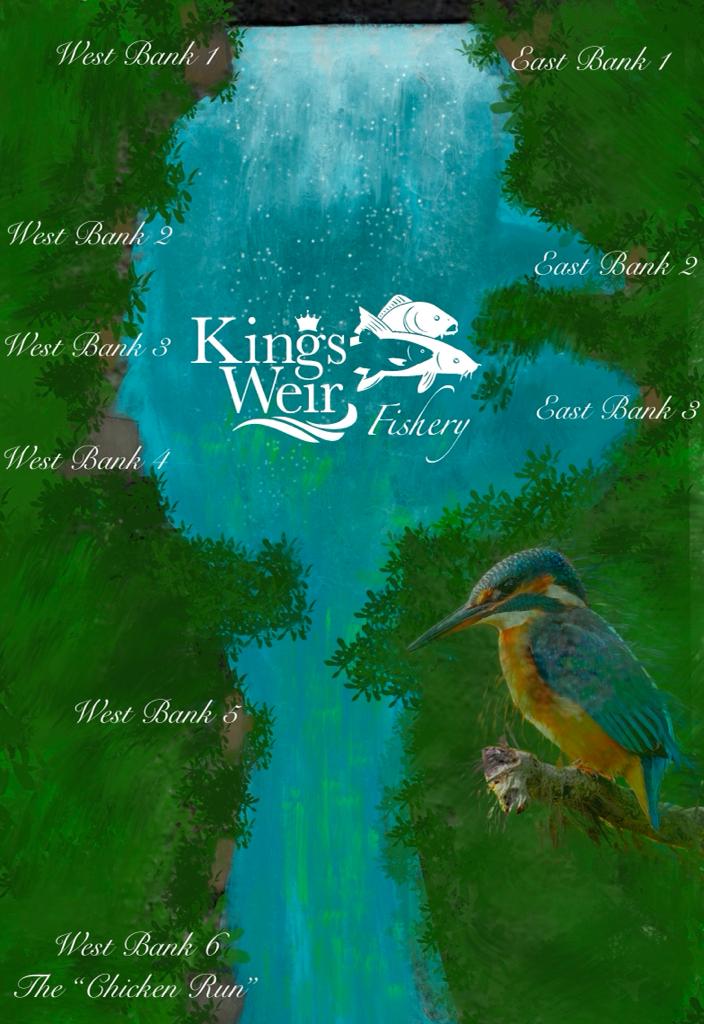 Kings Weir Fishery