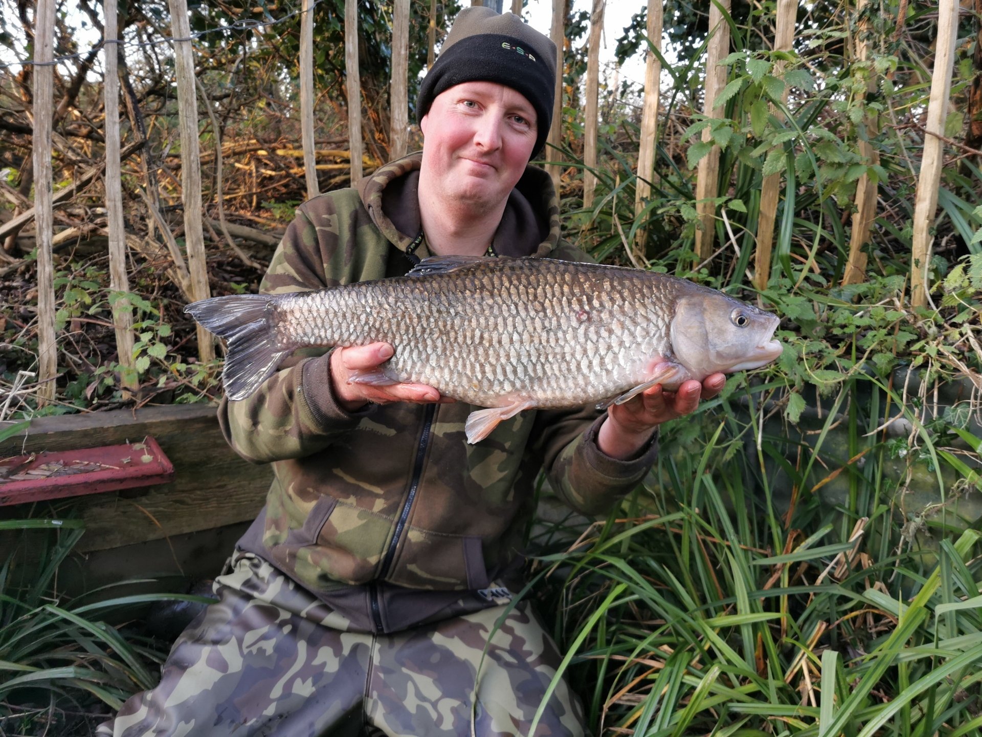 Kings Weir Fishery