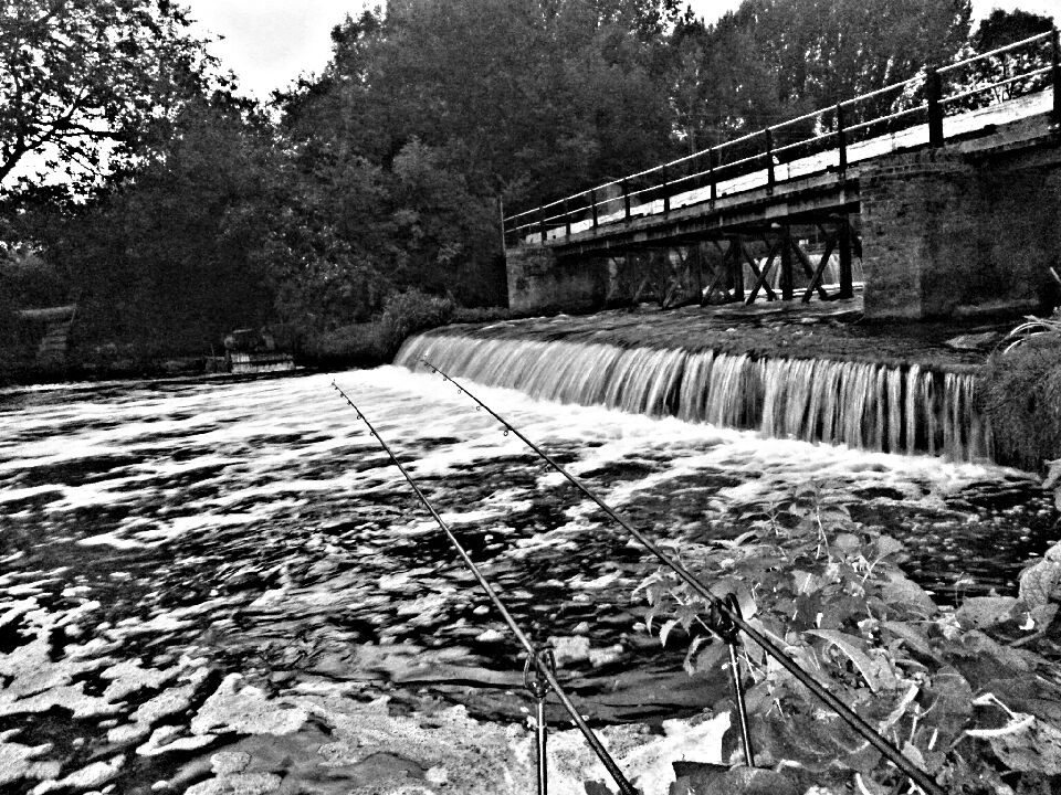 Kings Weir Fishery