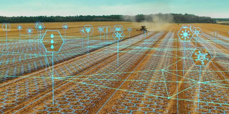 Sostenibilidad en la producción alimentaria | Alimentos SAS