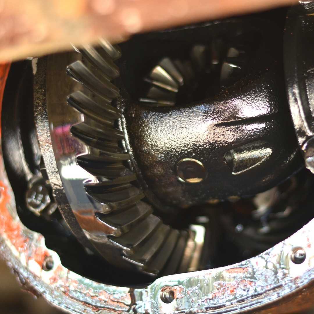 Light Duty Differentials
