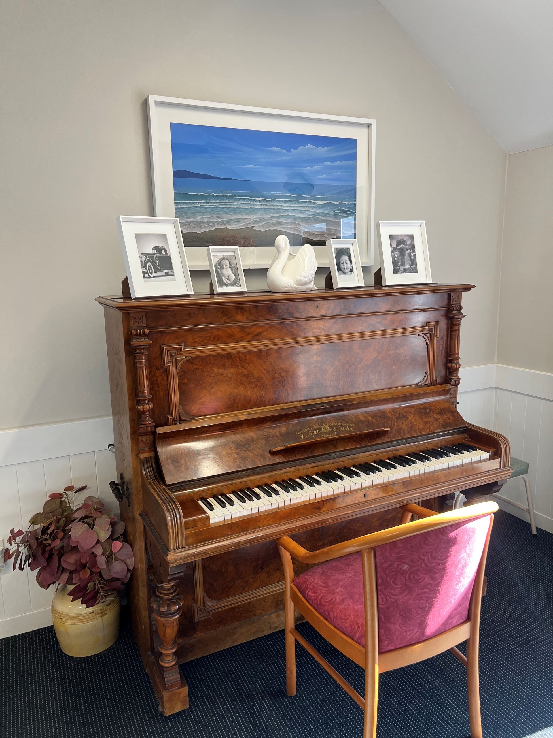 Gallery | Victoria Care | Christchurch