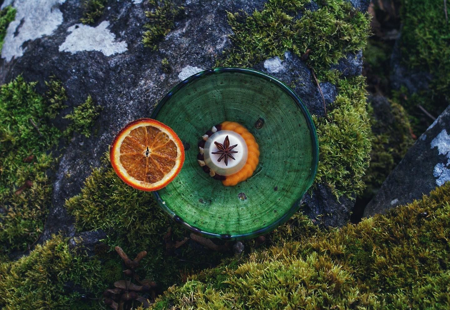 Wild Cooking Gallery: Explore Culinary Adventures in Nature's Kitchen