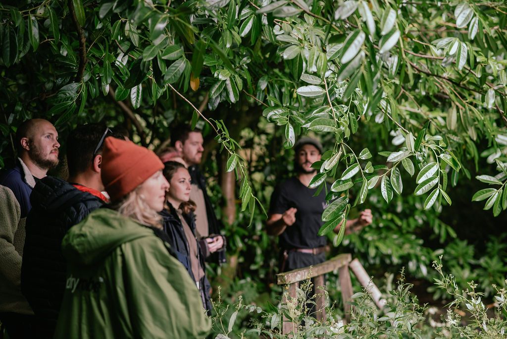 Wild Cooking Gallery: Explore Culinary Adventures in Nature's Kitchen
