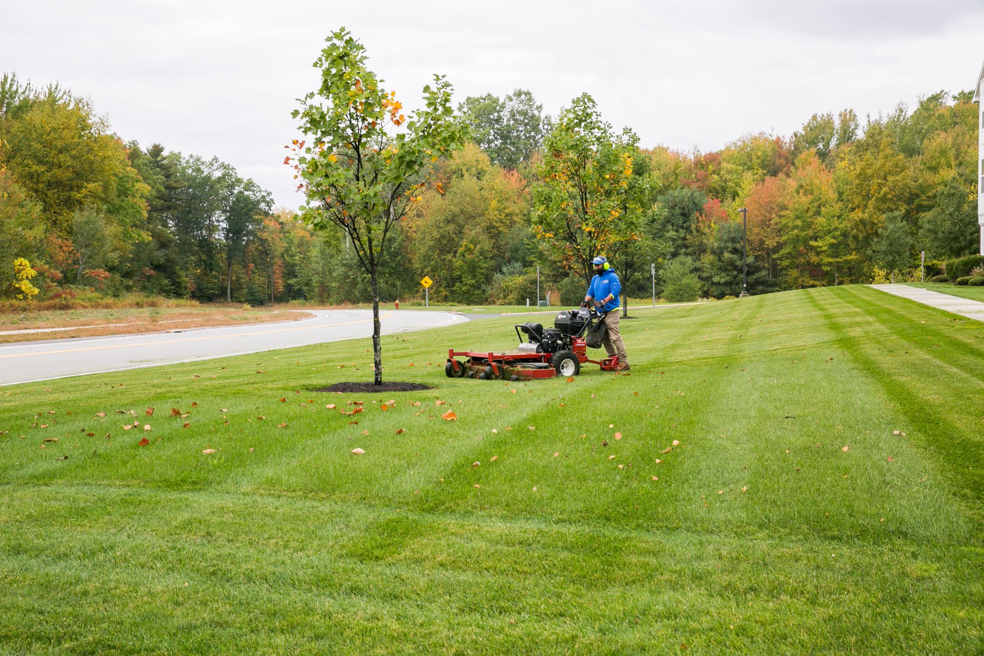 Supplemental Work Case Studies