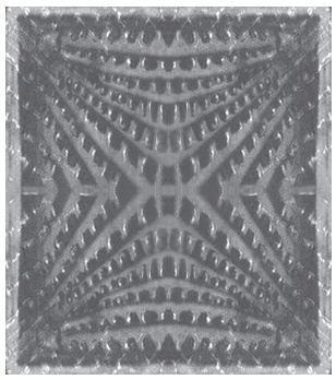 More about CSEs and the details of Grebennikov's flying platform