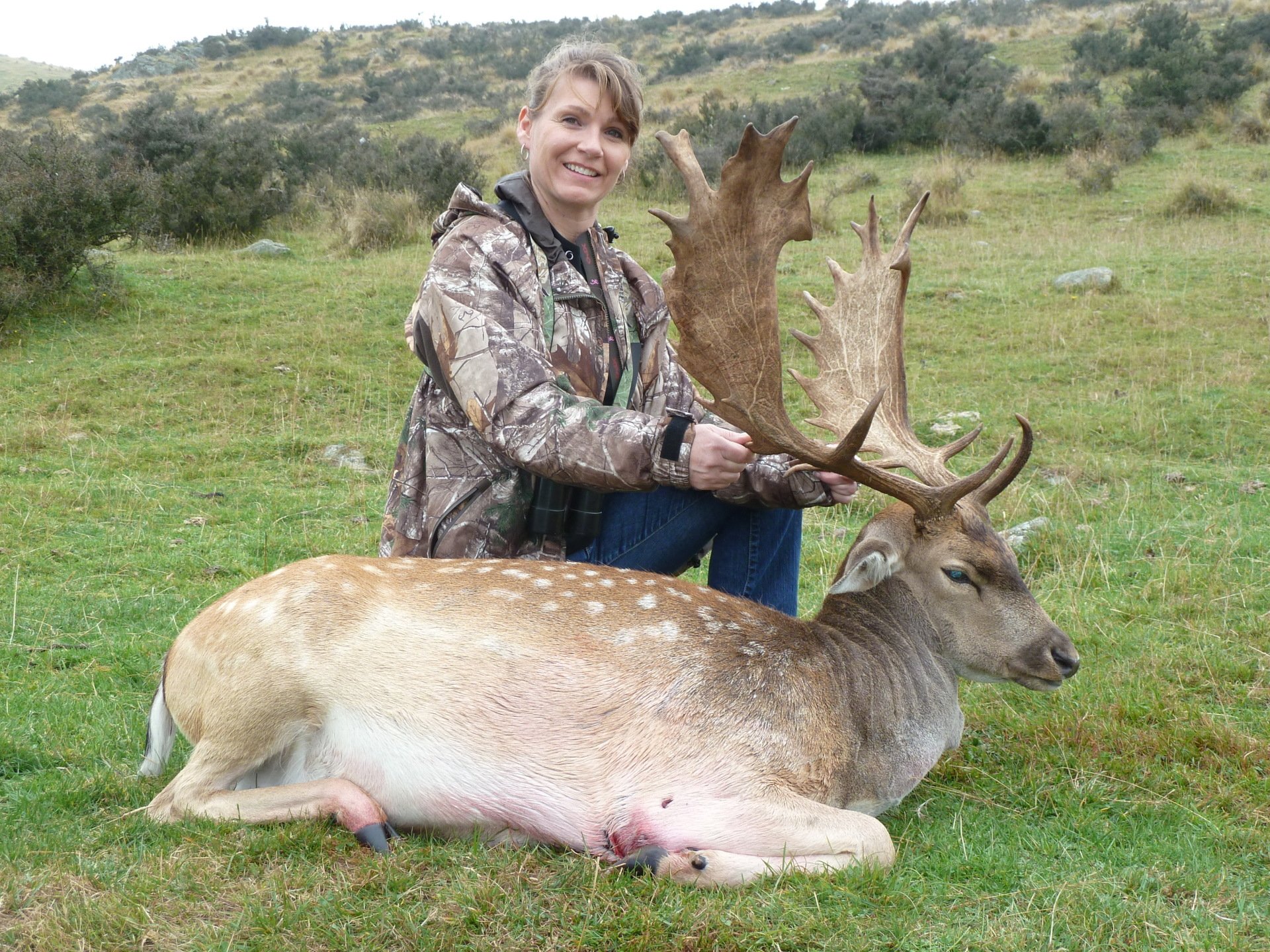 Fallow Buck Hunting in New Zealand with Lochinvar Safaris
