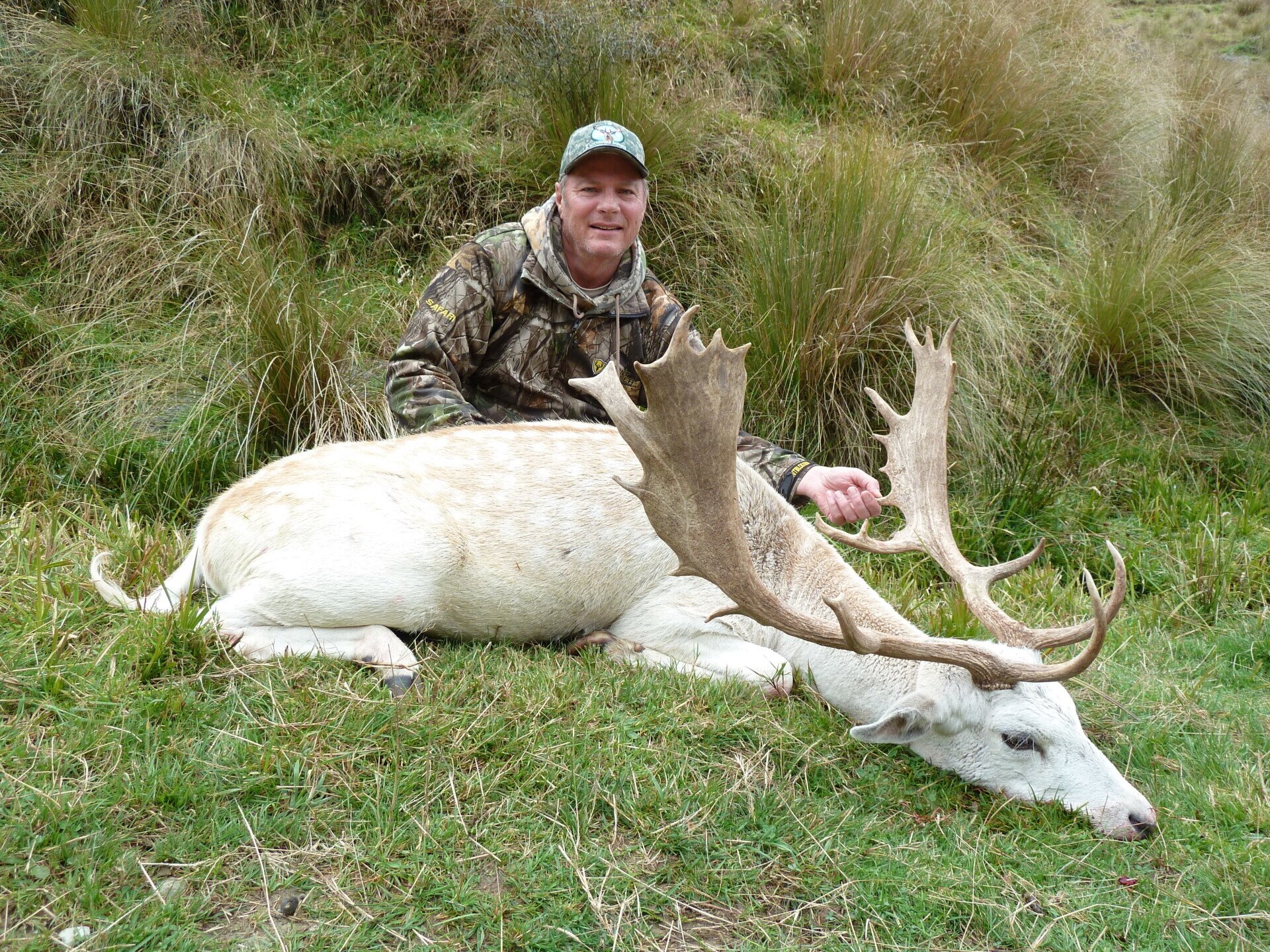 Fallow Buck Hunting in New Zealand with Lochinvar Safaris
