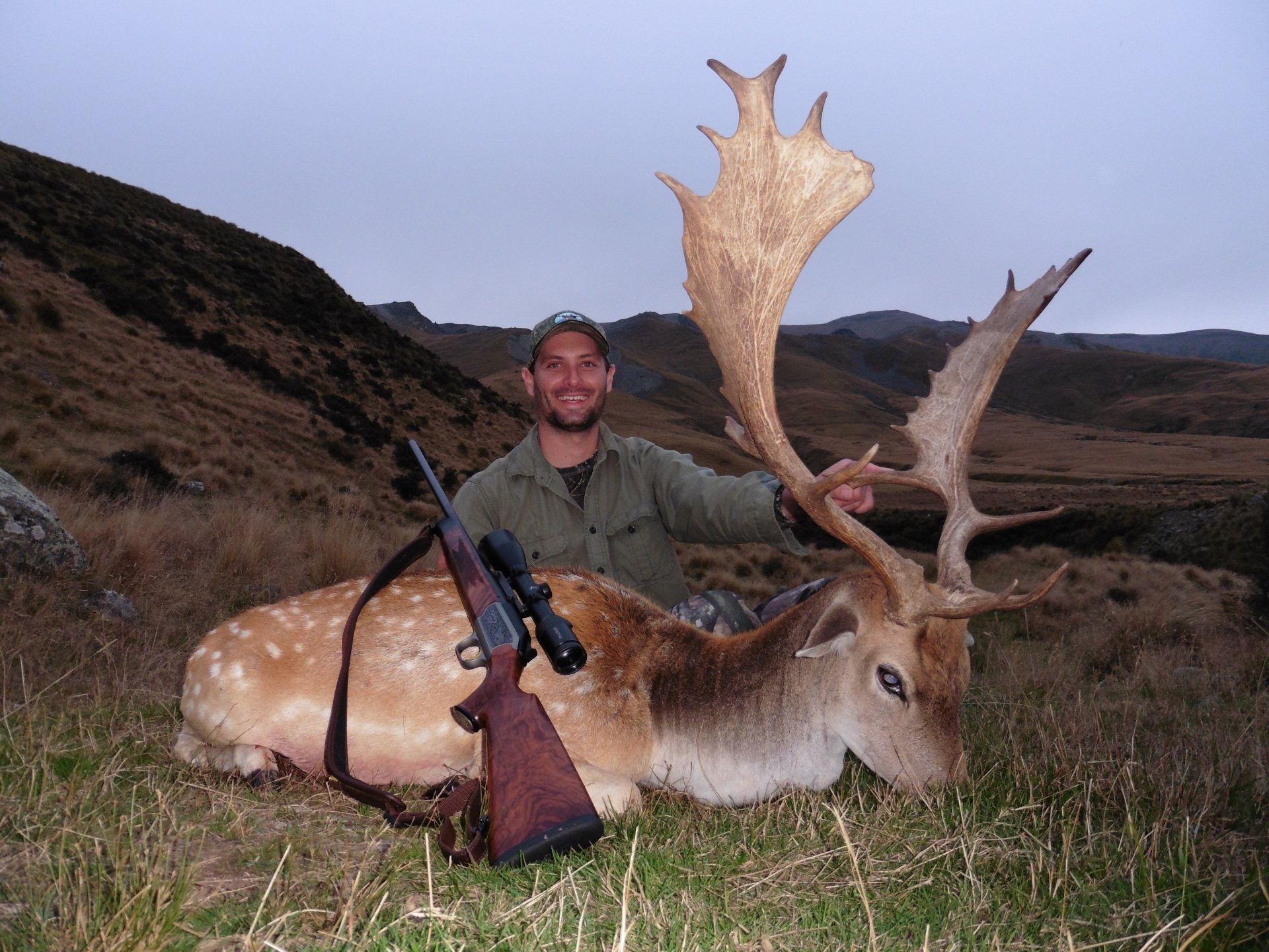 Fallow Buck Hunting in New Zealand with Lochinvar Safaris
