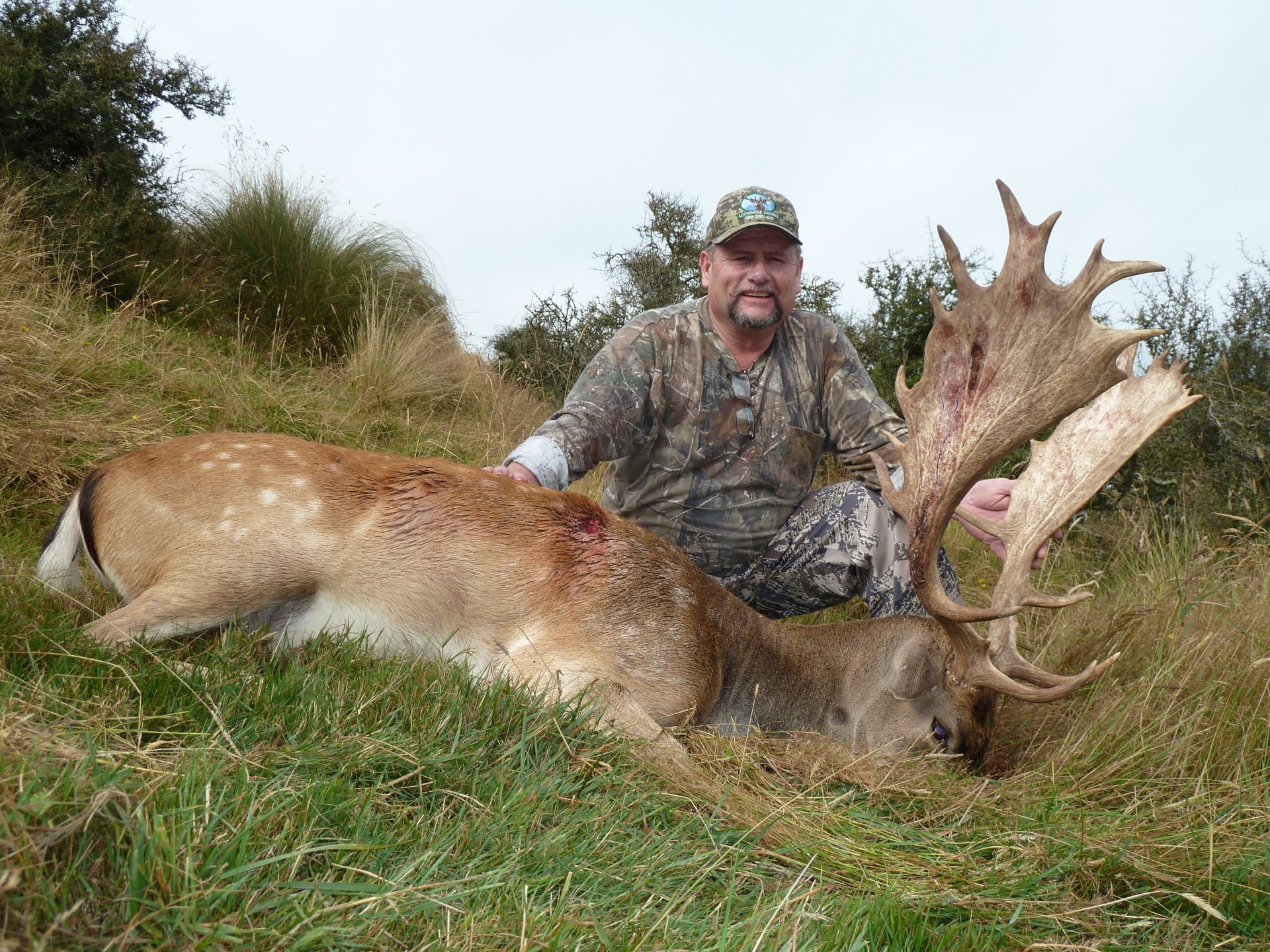 Fallow Buck Hunting in New Zealand with Lochinvar Safaris