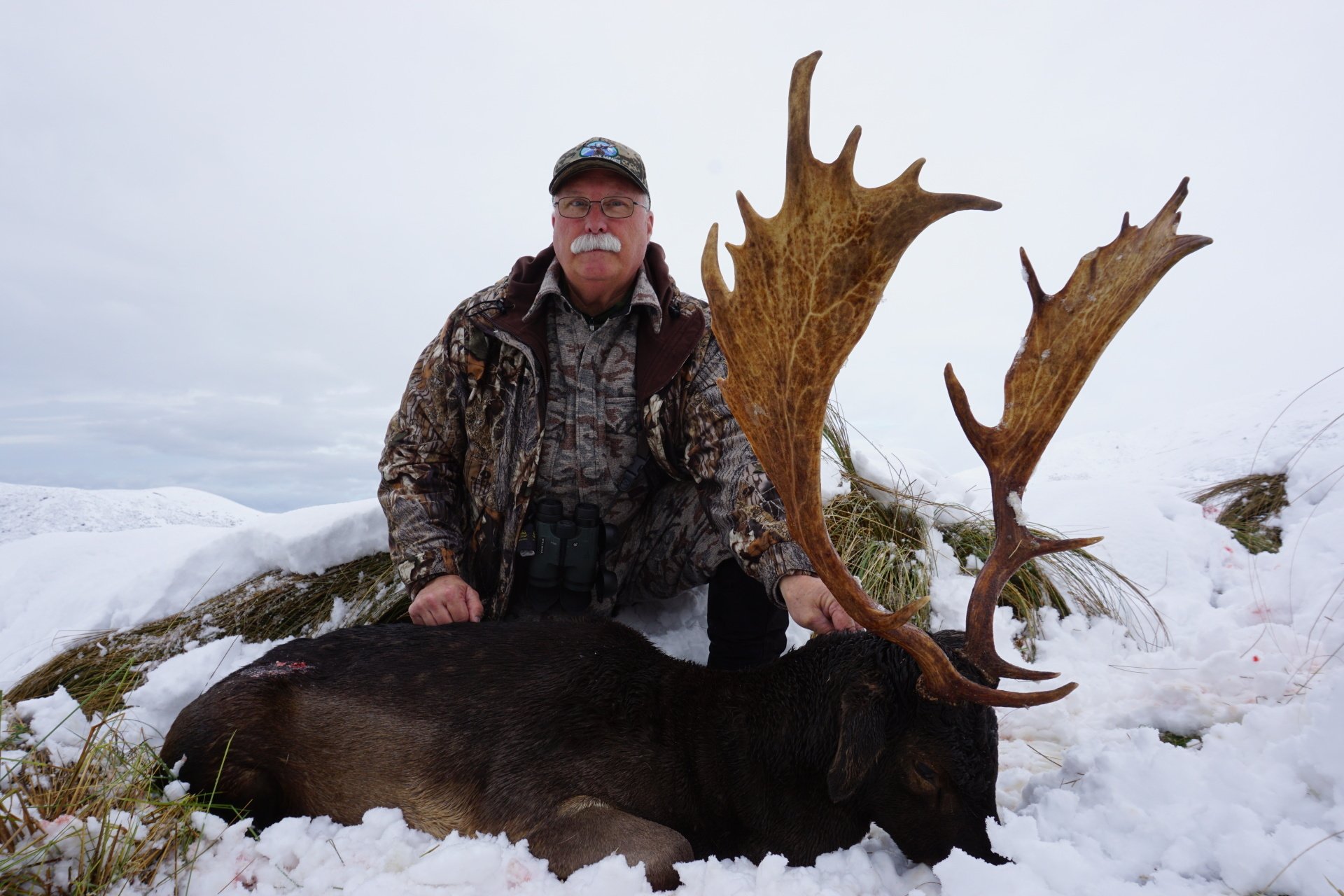 Fallow Buck Hunting in New Zealand with Lochinvar Safaris
