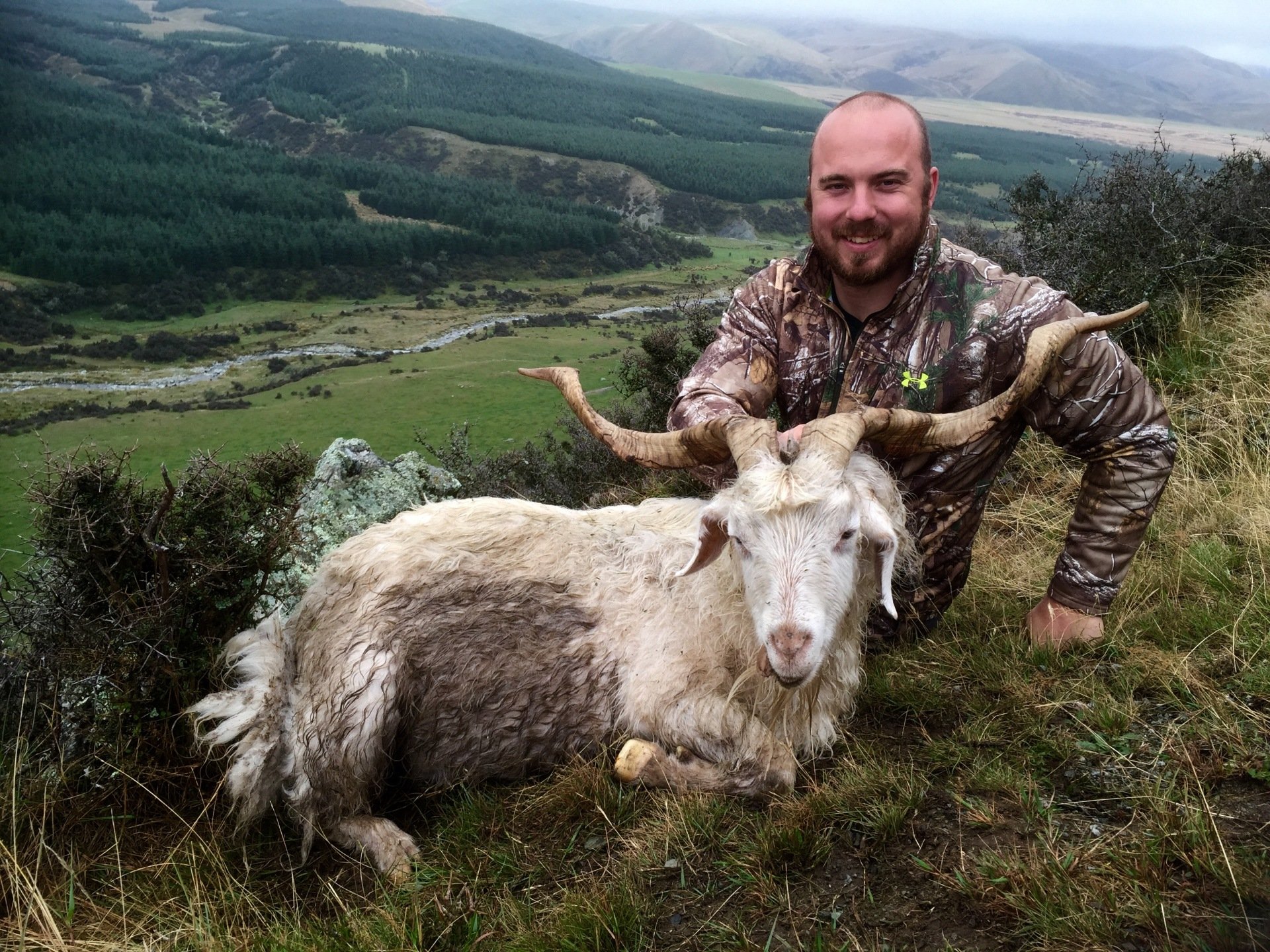 Feral Goat hunting in New Zealand