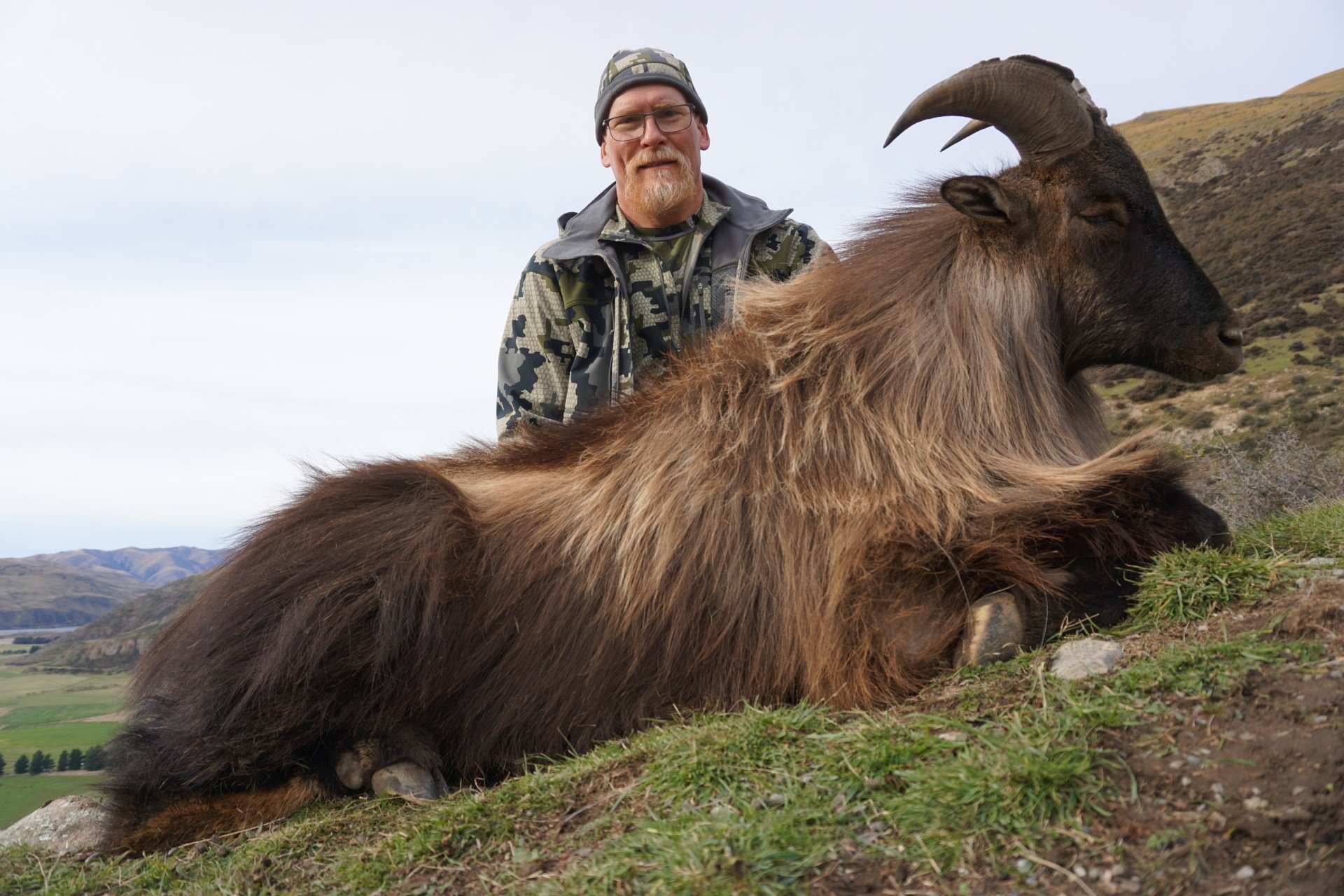 Hunt for Himalayan Tahr - Lochinvar Safaris New Zealand