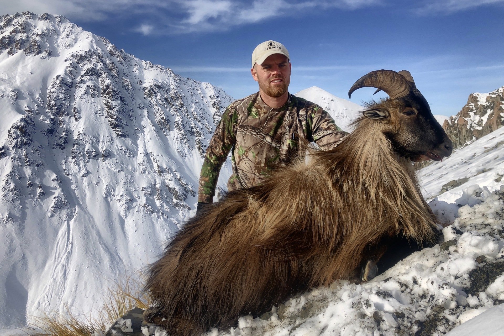 Hunt for Himalayan Tahr - Lochinvar Safaris New Zealand